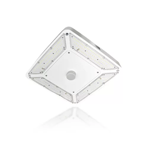 Lumina LED | Ceiling Lights | Products | MagniFlood.com
